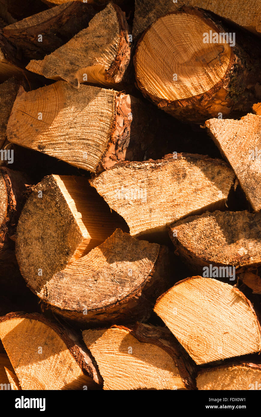 A portrait photograph of the wood pile Stock Photo - Alamy