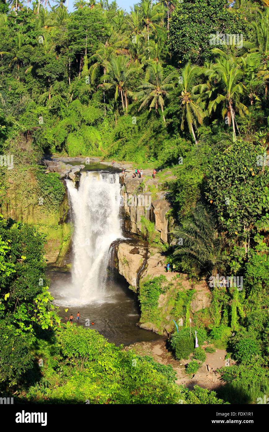 UBUD/INDONESIA: Amazing Tegallalang waterfall surrounded by green ...