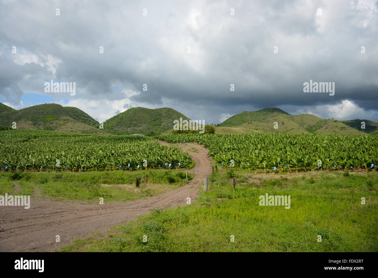 Agricultural activities hi-res stock photography and images - Alamy