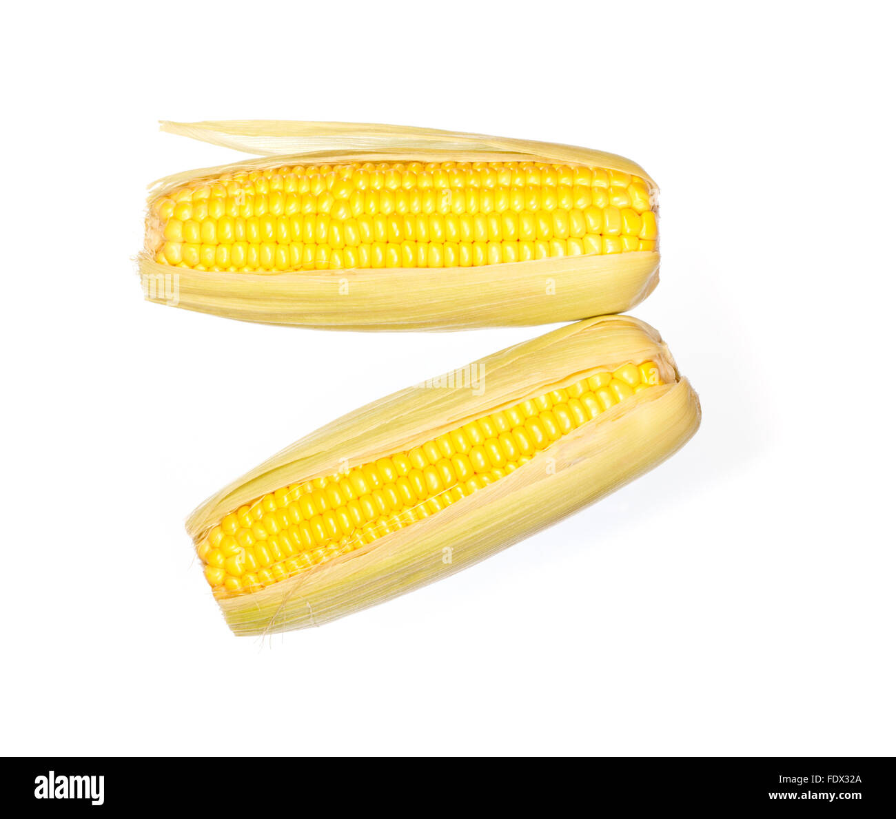 Two sweetcorn cobs against white background Stock Photo - Alamy