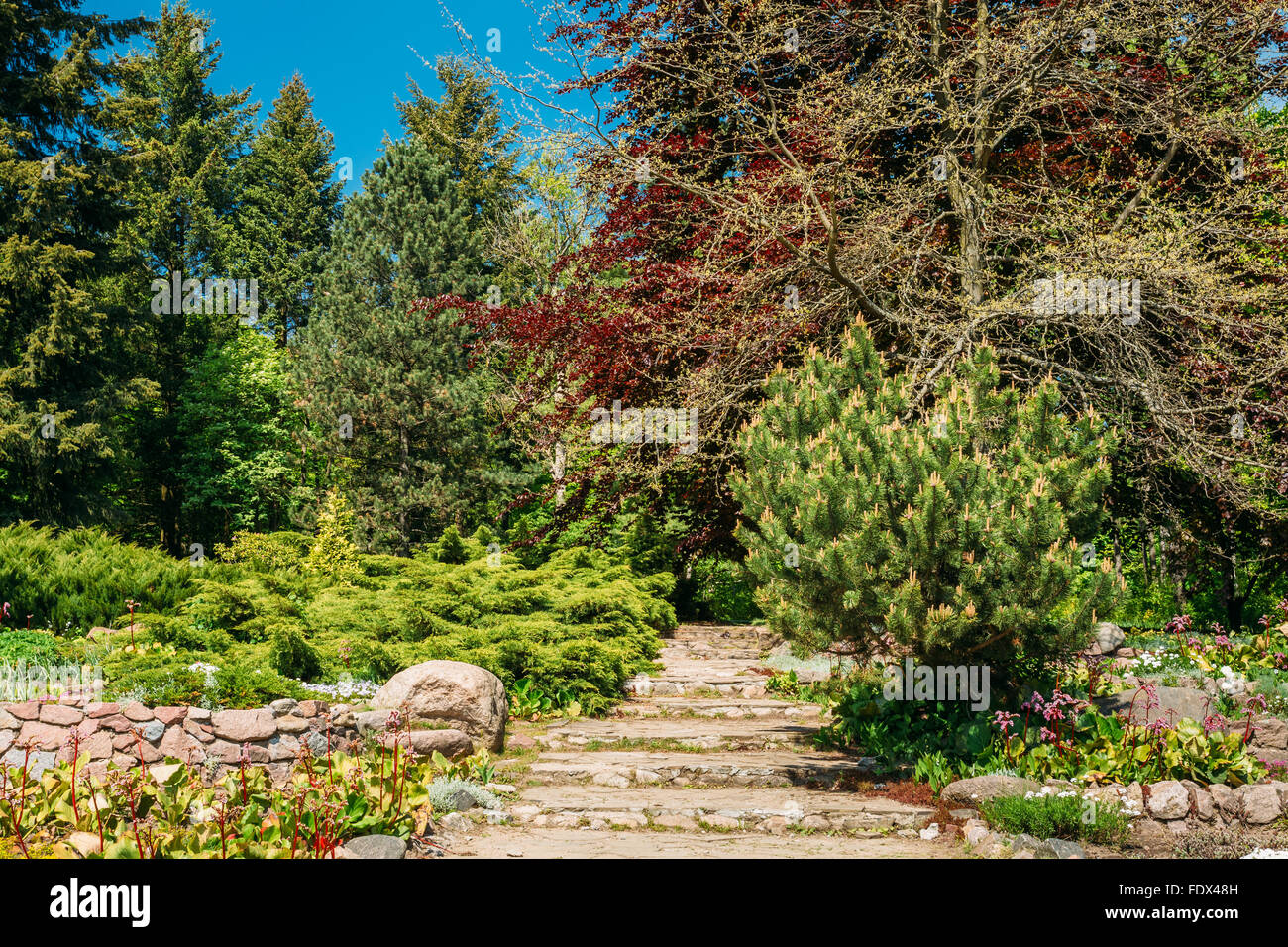 Stone pathway in garden park. Green Trees And Bushes In Garden. Garden ...