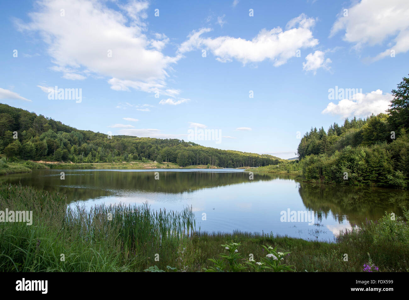 Meandering border hi-res stock photography and images - Alamy
