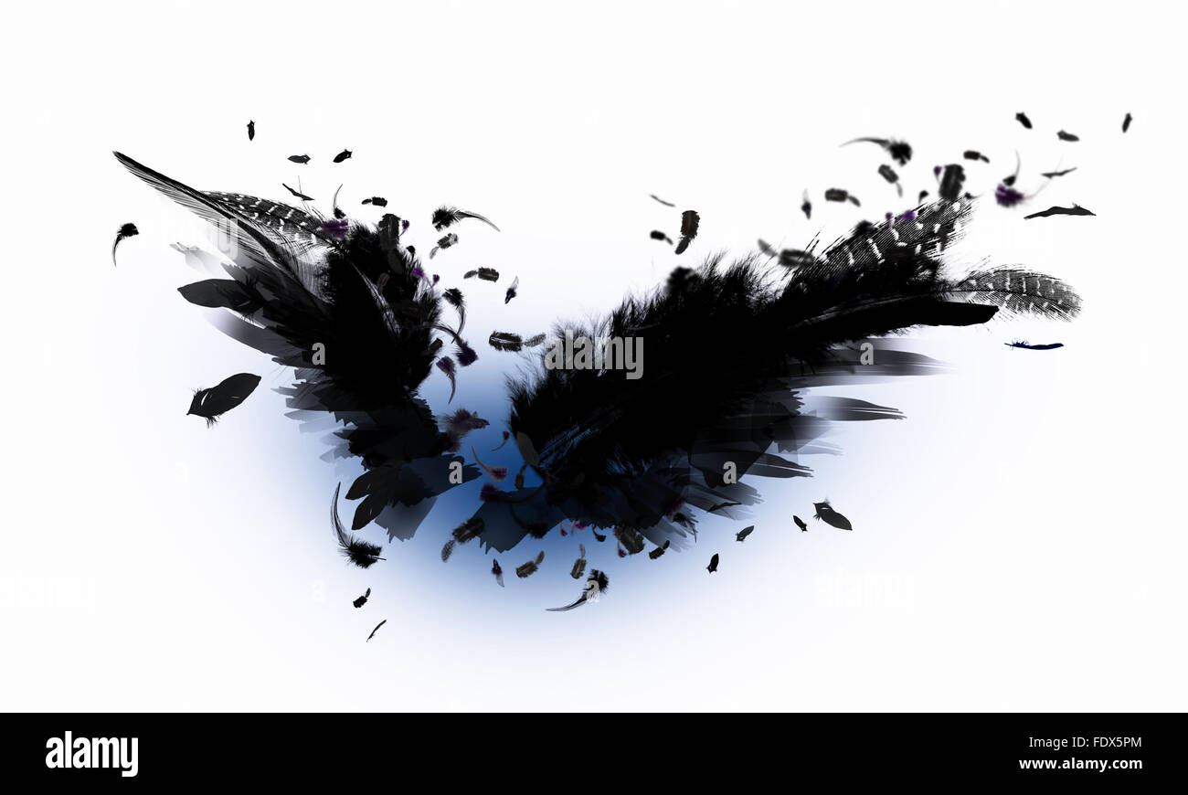 Abstract image of black wings against light background Stock Photo - Alamy