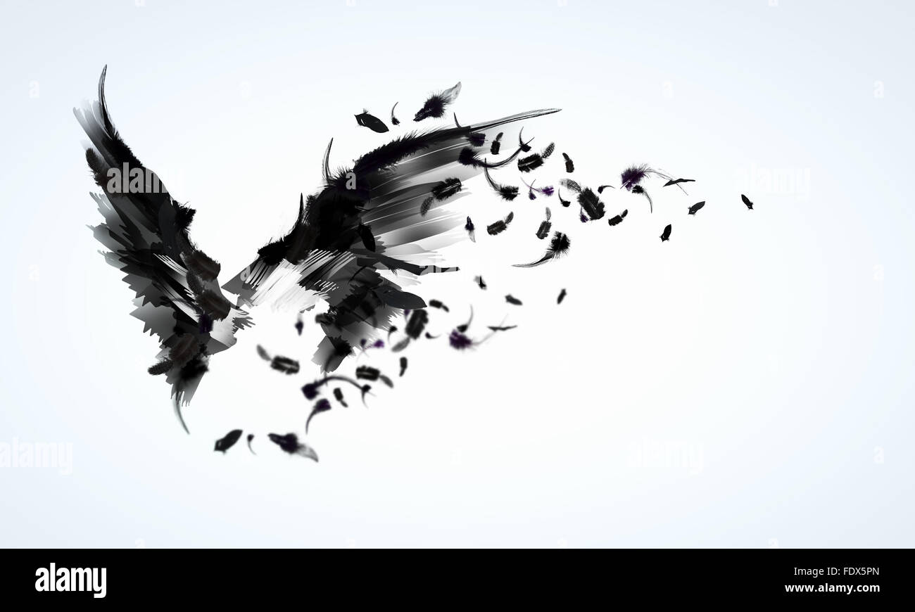 Abstract image of black wings against light background Stock Photo - Alamy