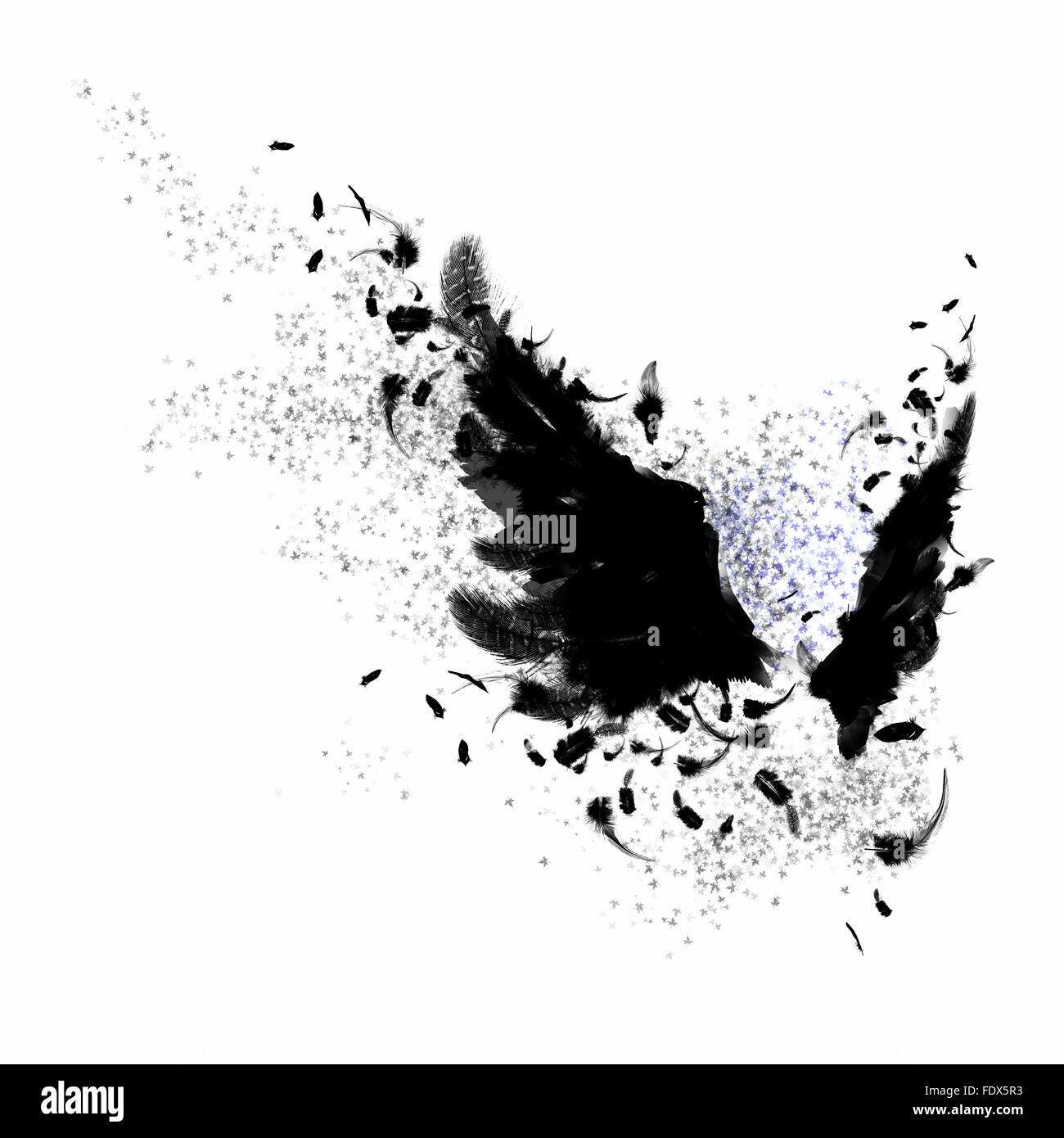 Abstract image of black wings against light background Stock Photo - Alamy