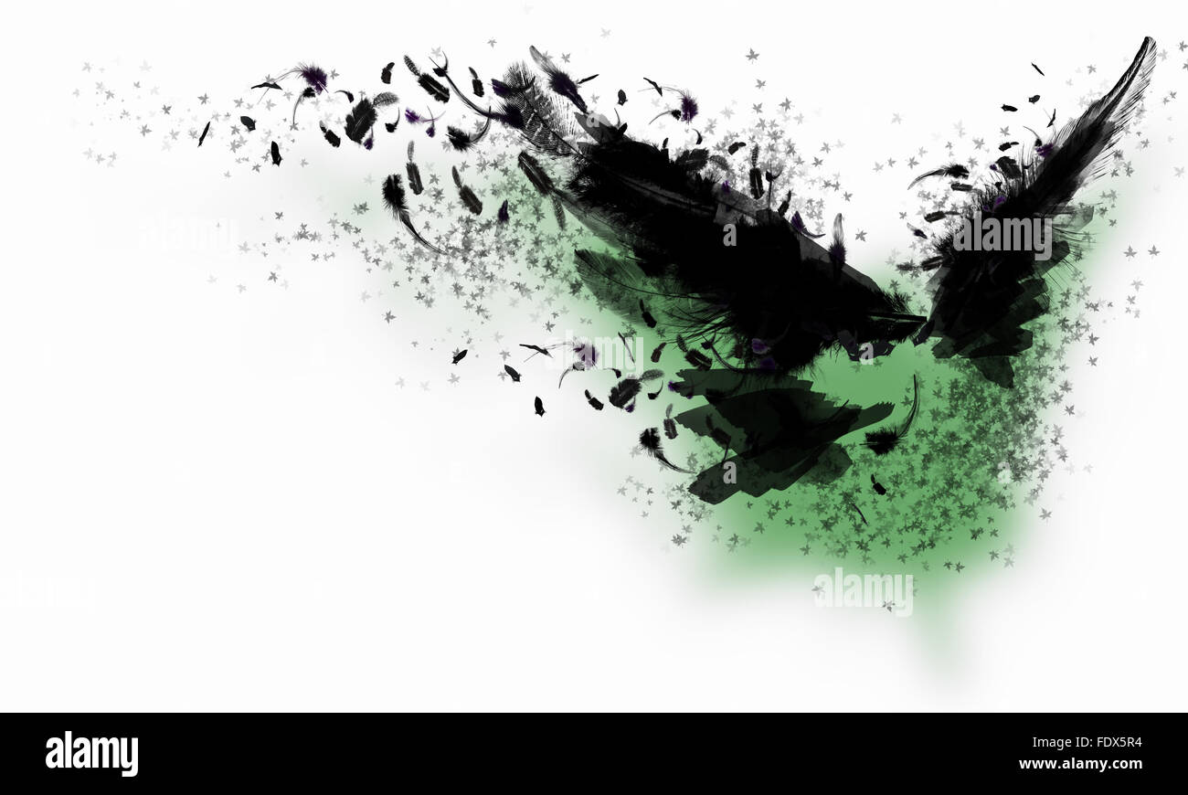 Abstract image of black wings against light background Stock Photo - Alamy