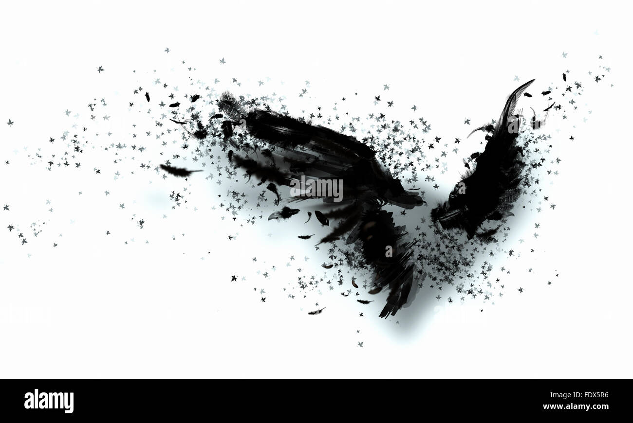 Abstract image of black wings against light background Stock Photo - Alamy