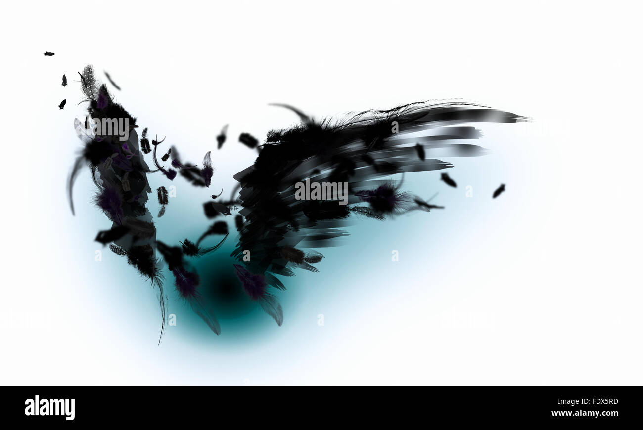 Abstract image of black wings against light background Stock Photo - Alamy