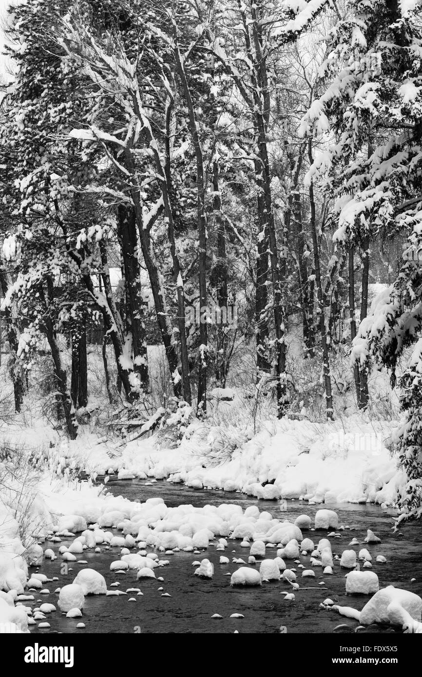 After cold morning Black and White Stock Photos & Images - Alamy