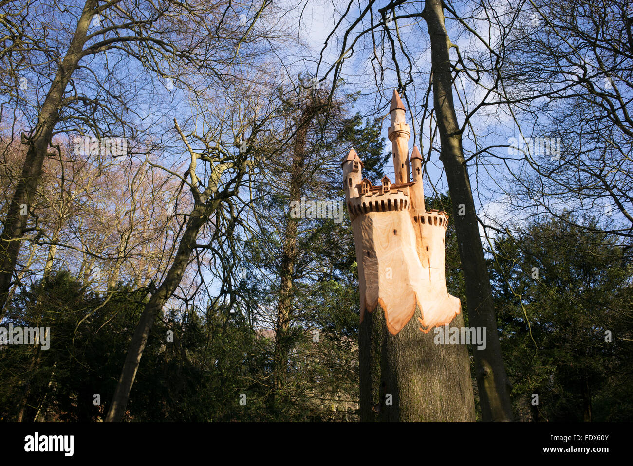 Sculpted trunk hi-res stock photography and images - Alamy