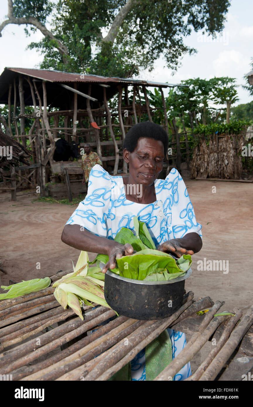Ugandan lady preparing a meal in a pan using corn and banana leaves ...