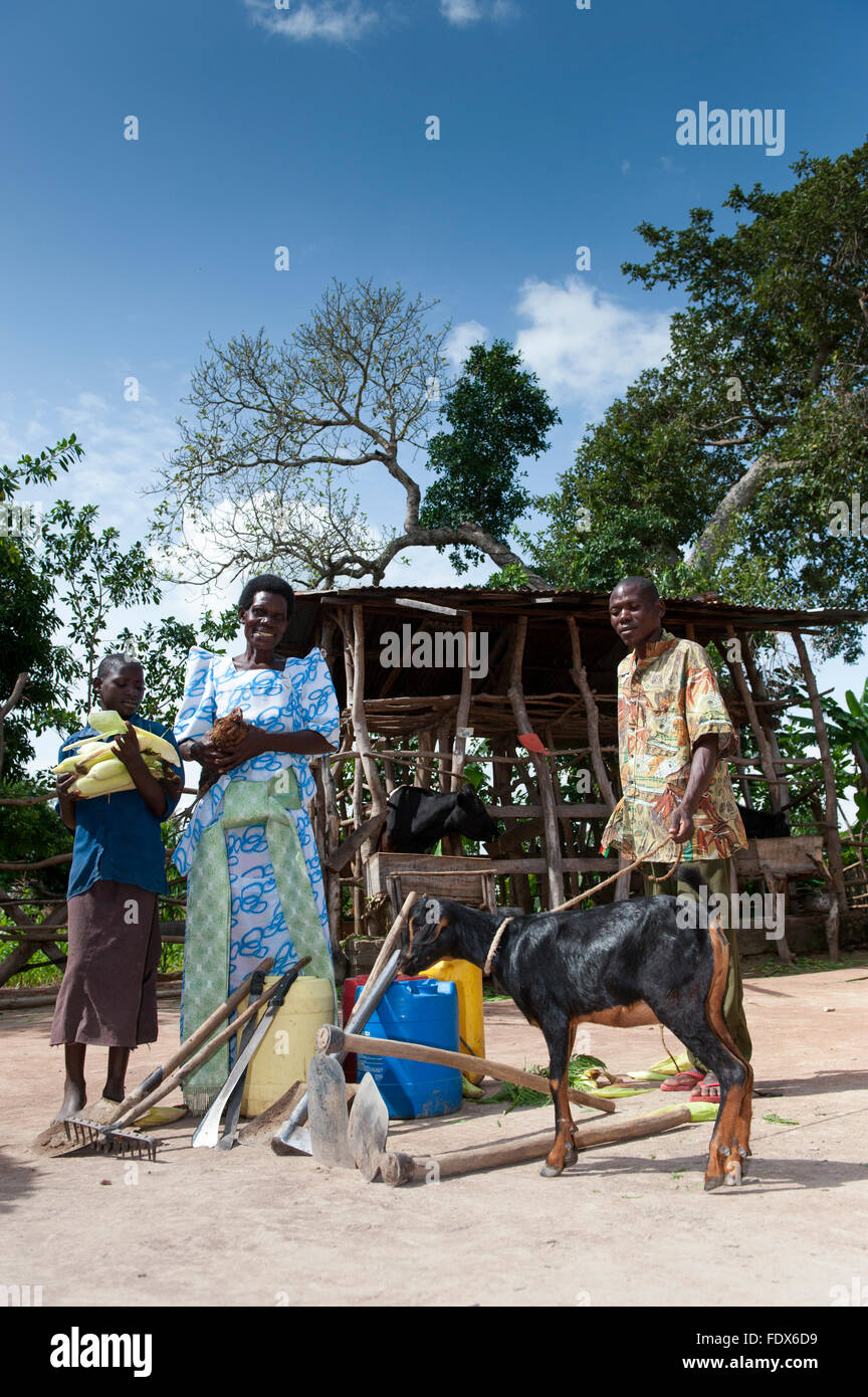 Ugandan smallholding, with family showing livestock, produce and tools ...