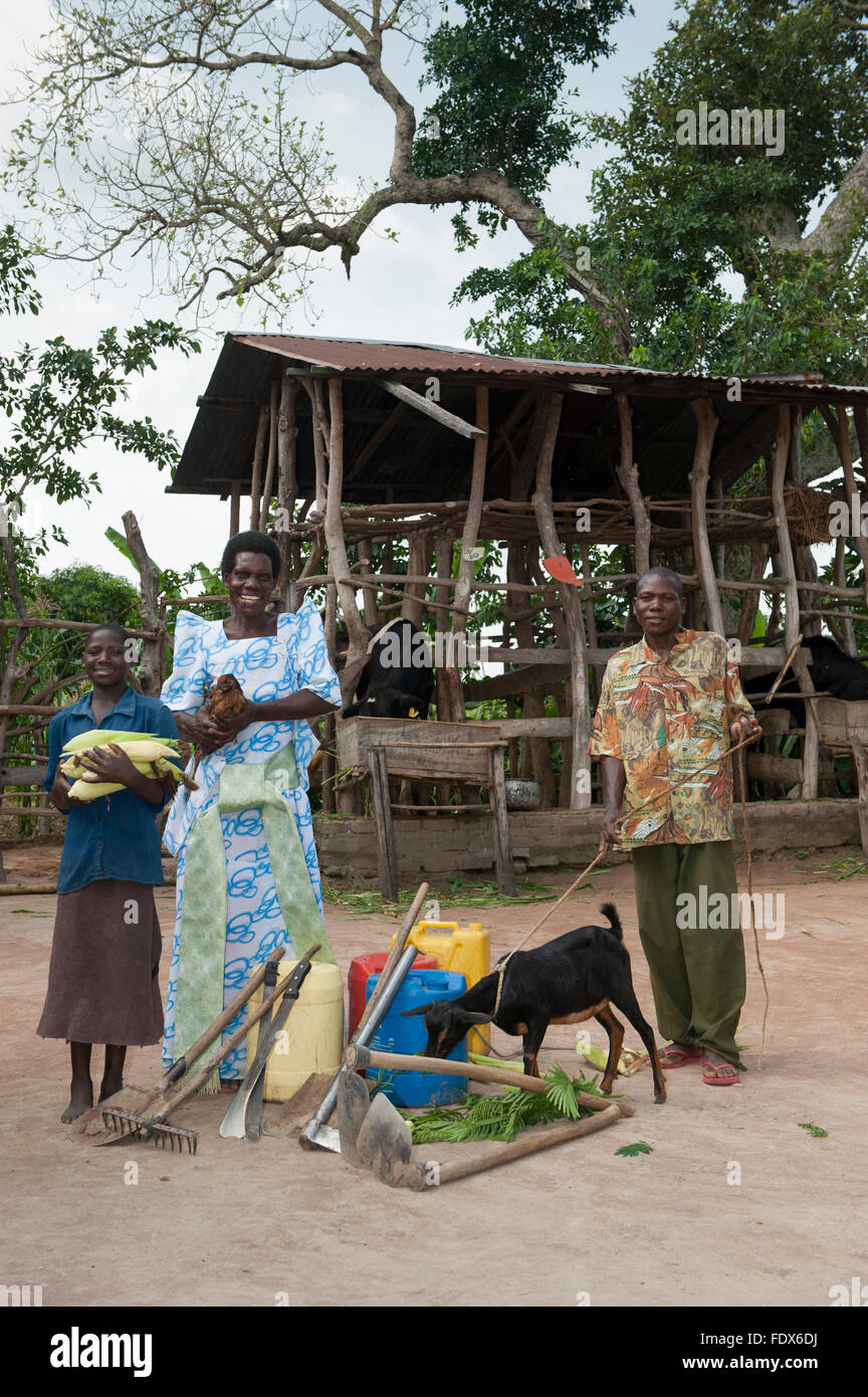 Ugandan smallholding, with family showing livestock, produce and tools ...