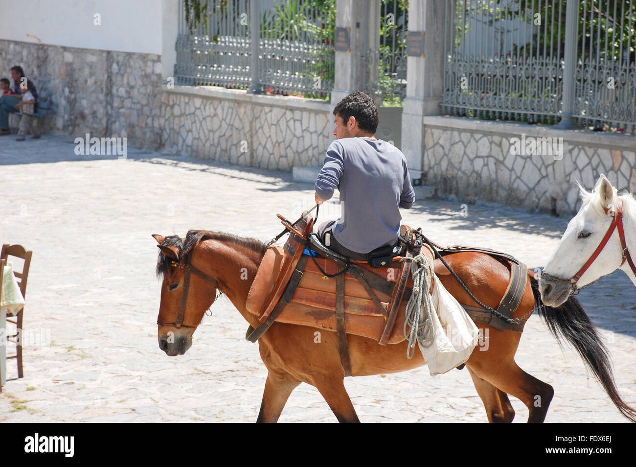 A local man is riding a mule and leading another on streets of Hydra ...