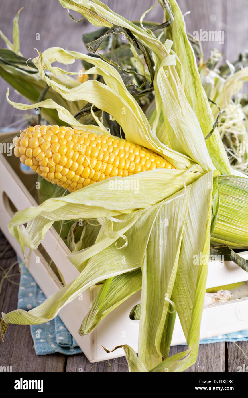 Fresh raw corn cob ready to be prepared Stock Photo - Alamy