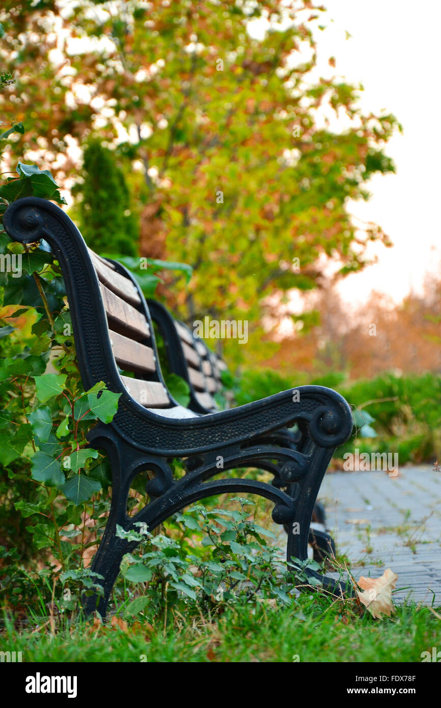 Classic trees hi-res stock photography and images - Alamy