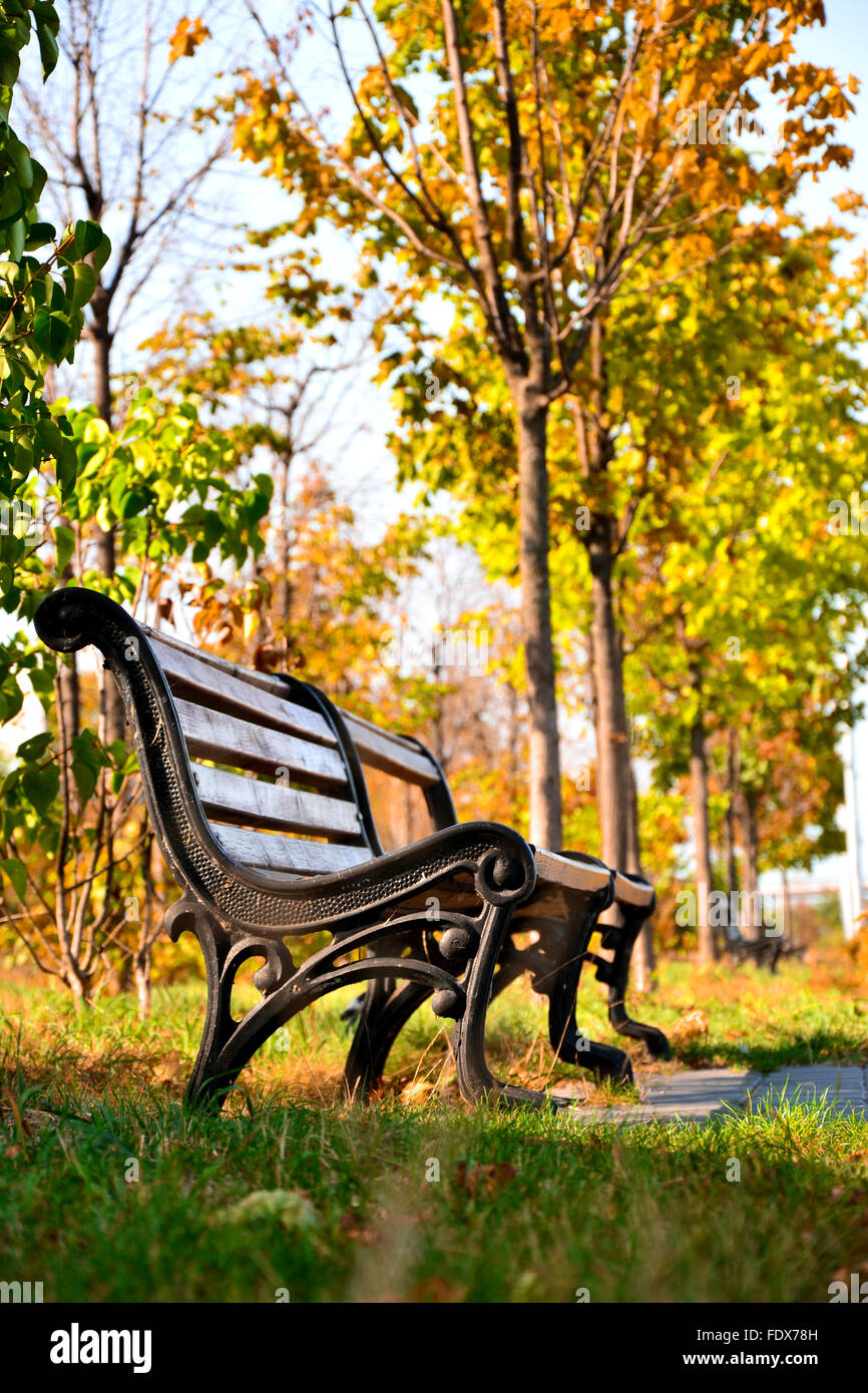 Two classic benches in city park in front of trees Stock Photo - Alamy