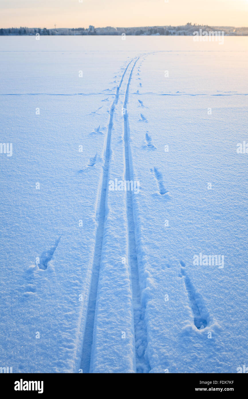 Ski tracks snow lake Stock Photo - Alamy