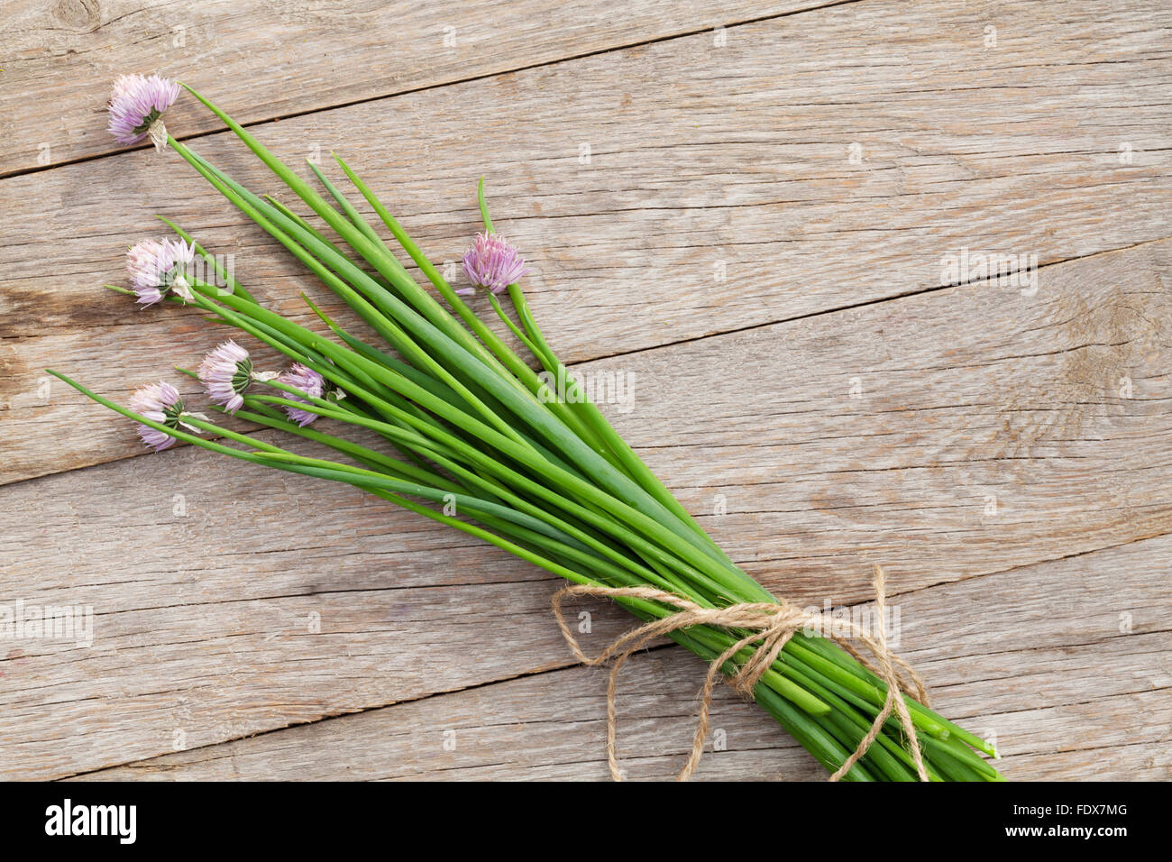 Fresh garden spring onion on garden table. Top view with copy space ...