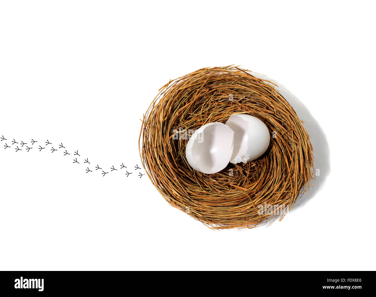 Empty nest hi-res stock photography and images - Alamy