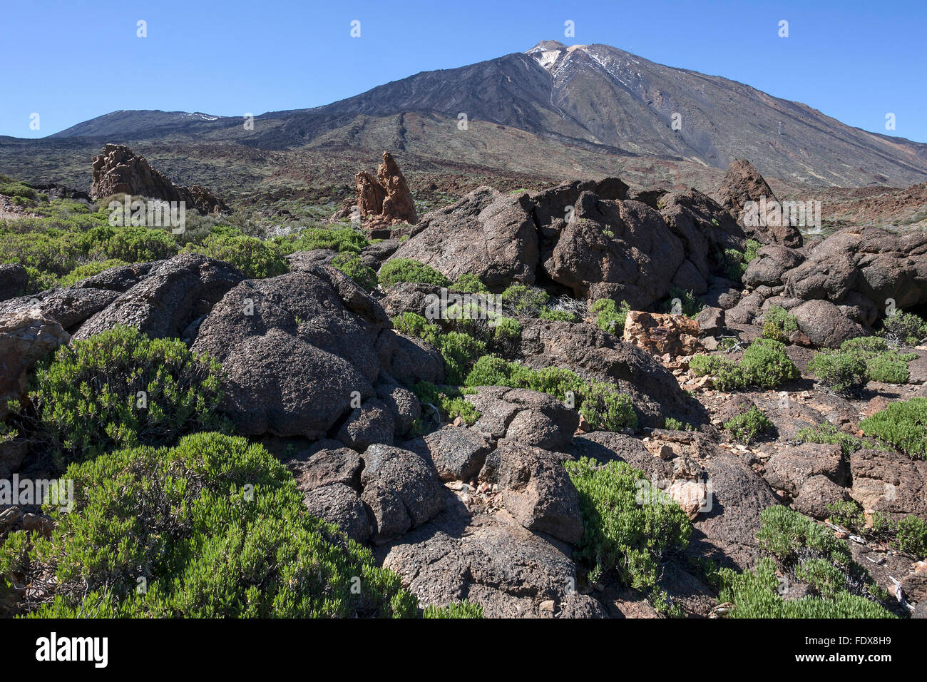 Volcanic landscape with vegetation, behind the Pico del Teide, Teide ...