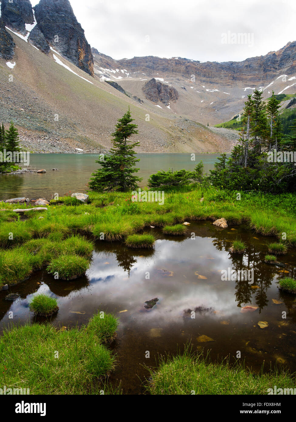 Gorman Lake is a beautiful alpine lake in the heart of the Canadian ...