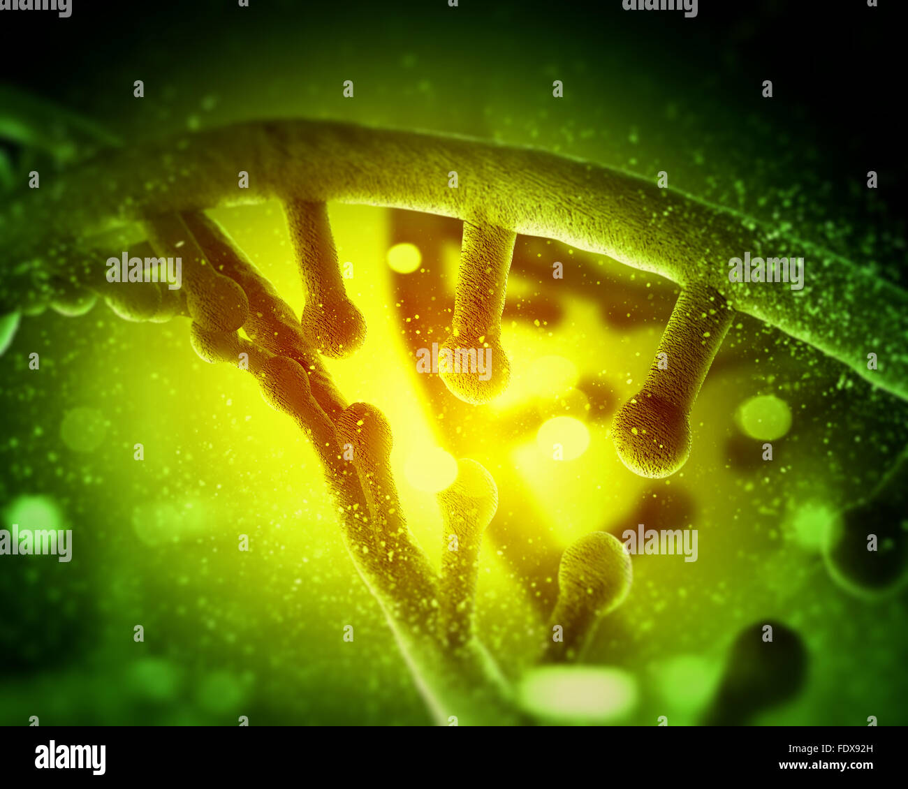 DNA molecule is located in front of a colored background. abstract ...