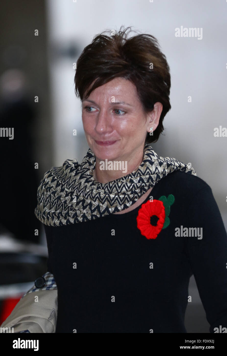 London, UK, 8th Nov 2015: Diane Martine James is one of four UKIP ...