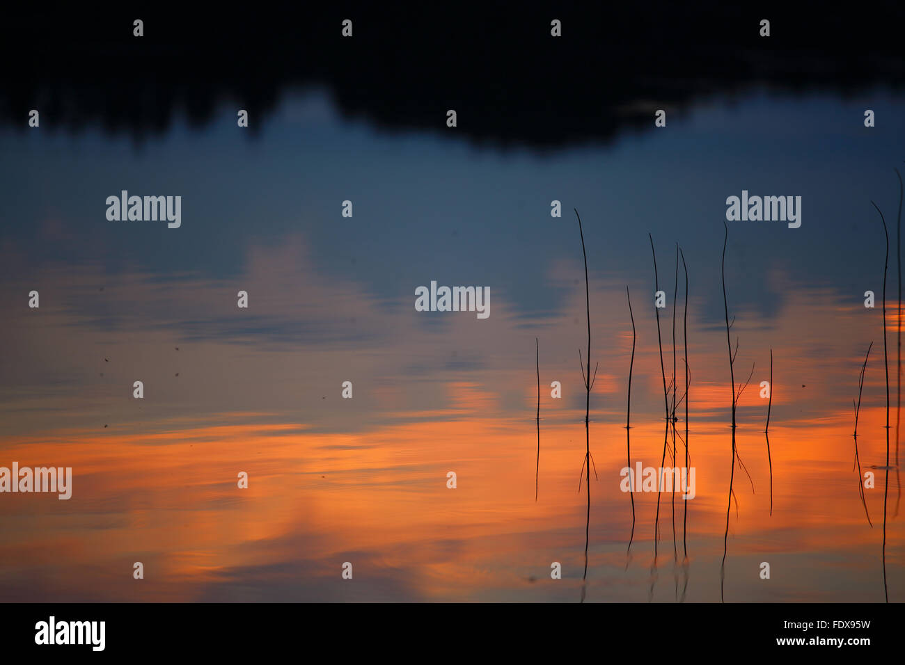 Beautiful reflection of sunset sky in water of calm lake Stock Photo ...