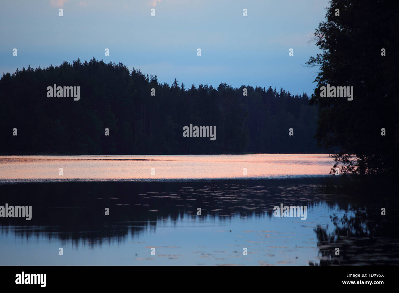 A beautiful sunset at lake and dark forest, Finland Stock Photo - Alamy