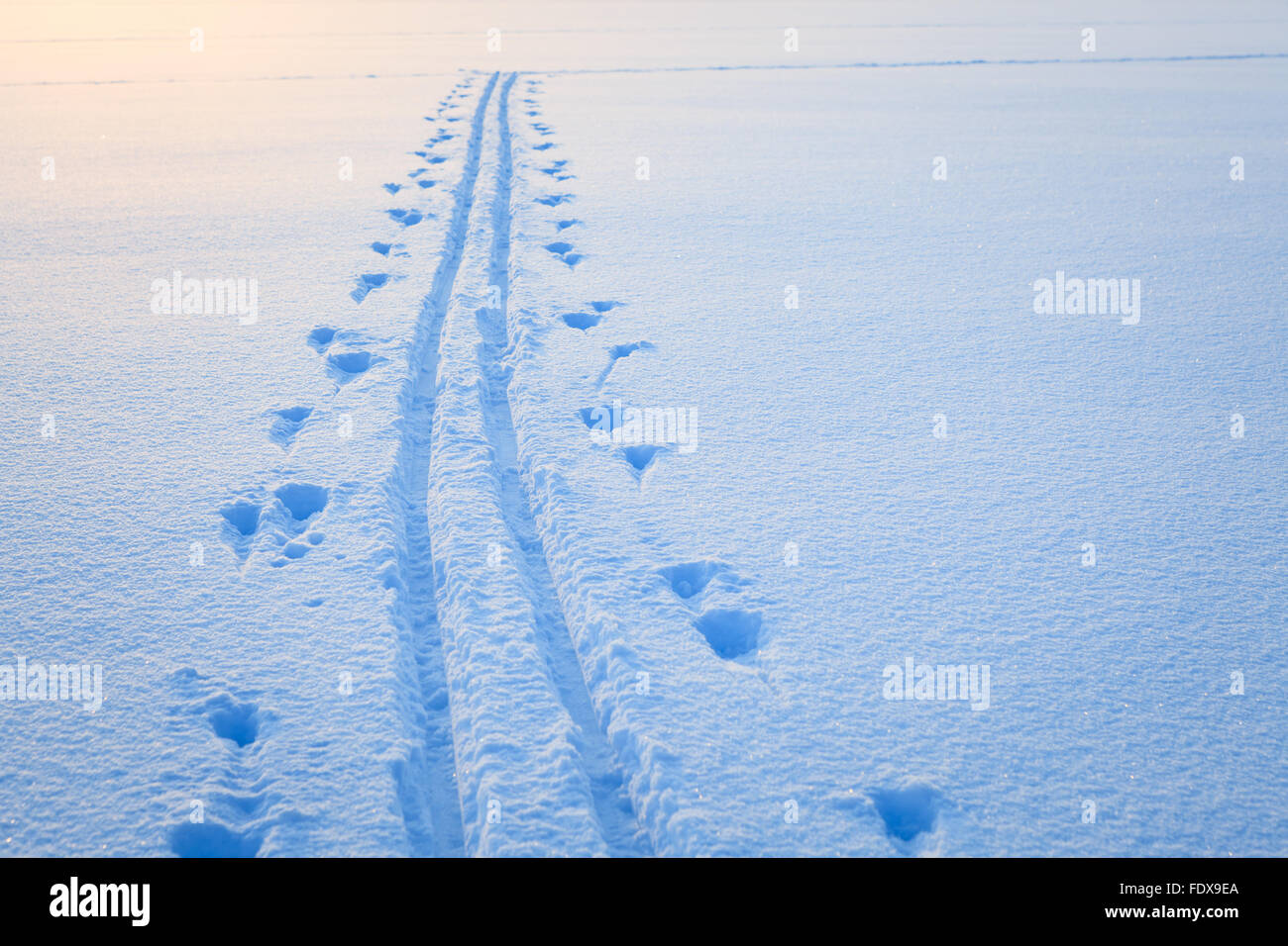 Ski tracks snow lake Stock Photo - Alamy