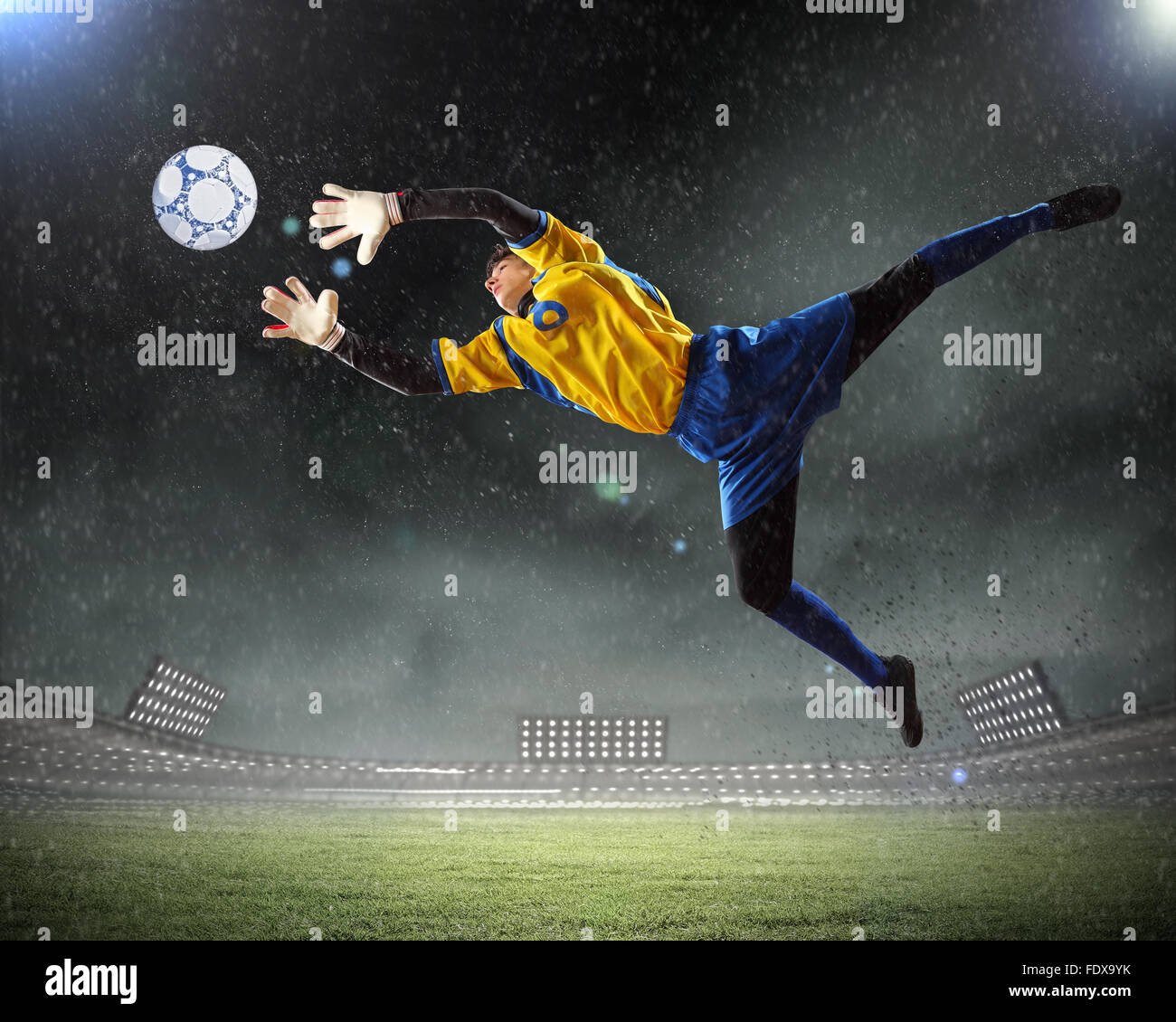 Goalkeeper catches the ball . At the stadium, in the spotlight Stock ...