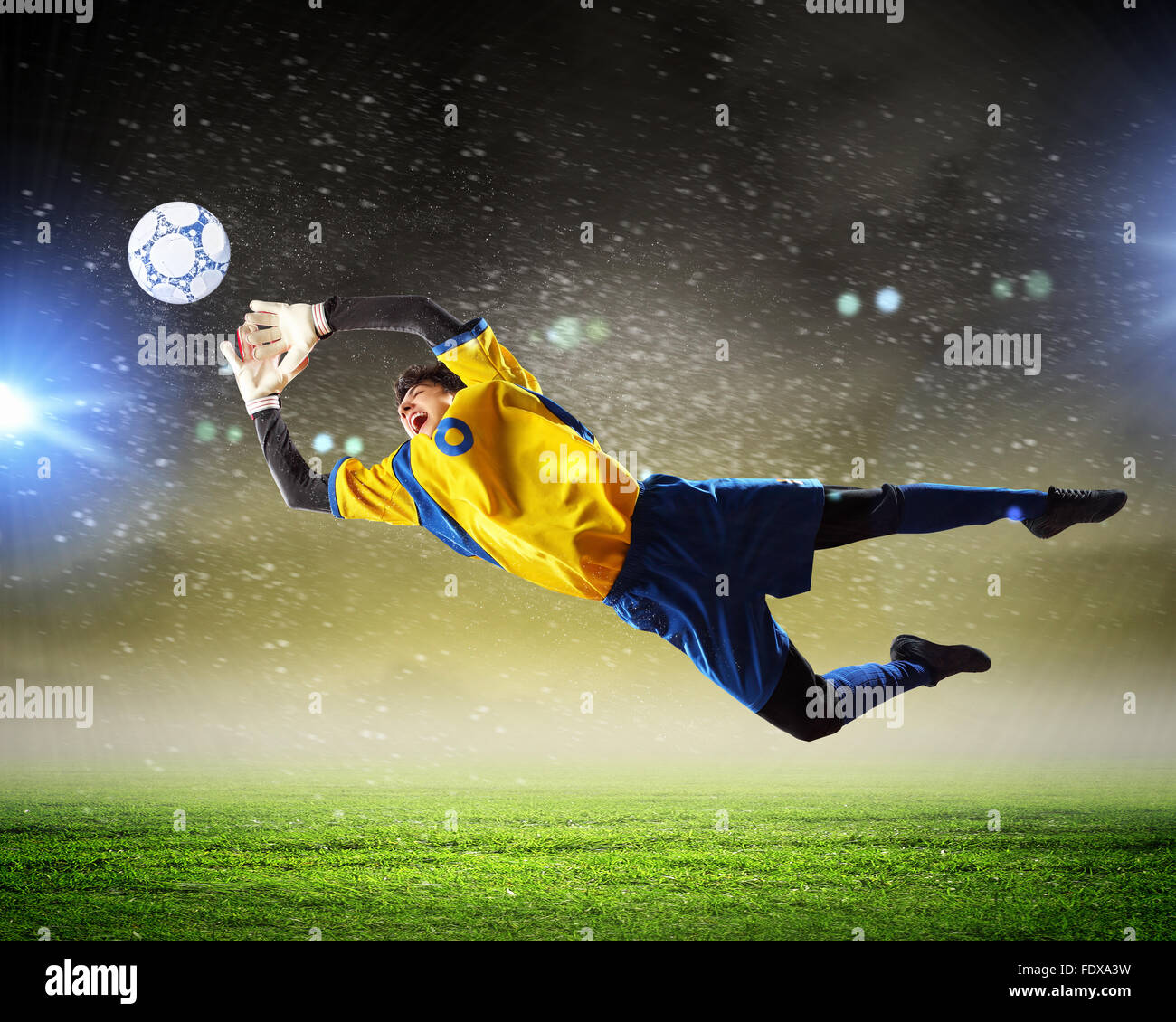 Goalkeeper catches the ball . At the stadium, in the spotlight Stock ...