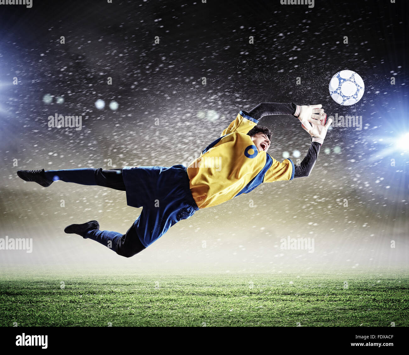 Goalkeeper catches the ball . At the stadium, in the spotlight Stock ...
