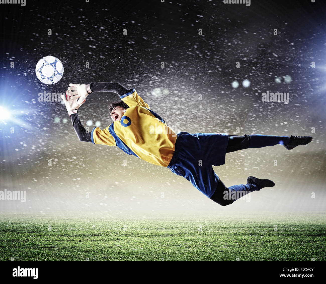 Goalkeeper catches the ball . At the stadium, in the spotlight Stock ...