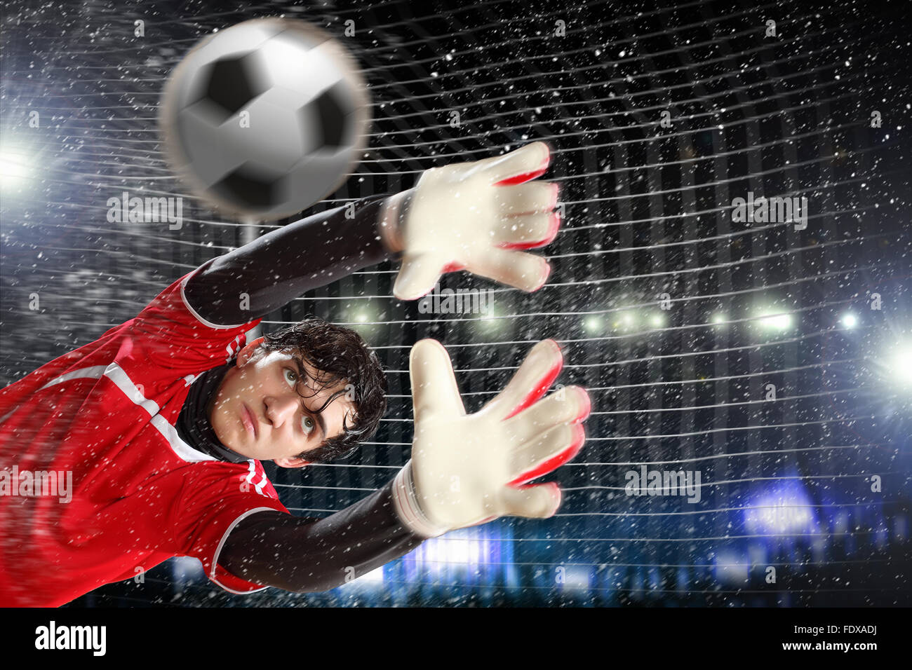 Goalkeeper catches the ball . At the stadium, in the spotlight Stock ...