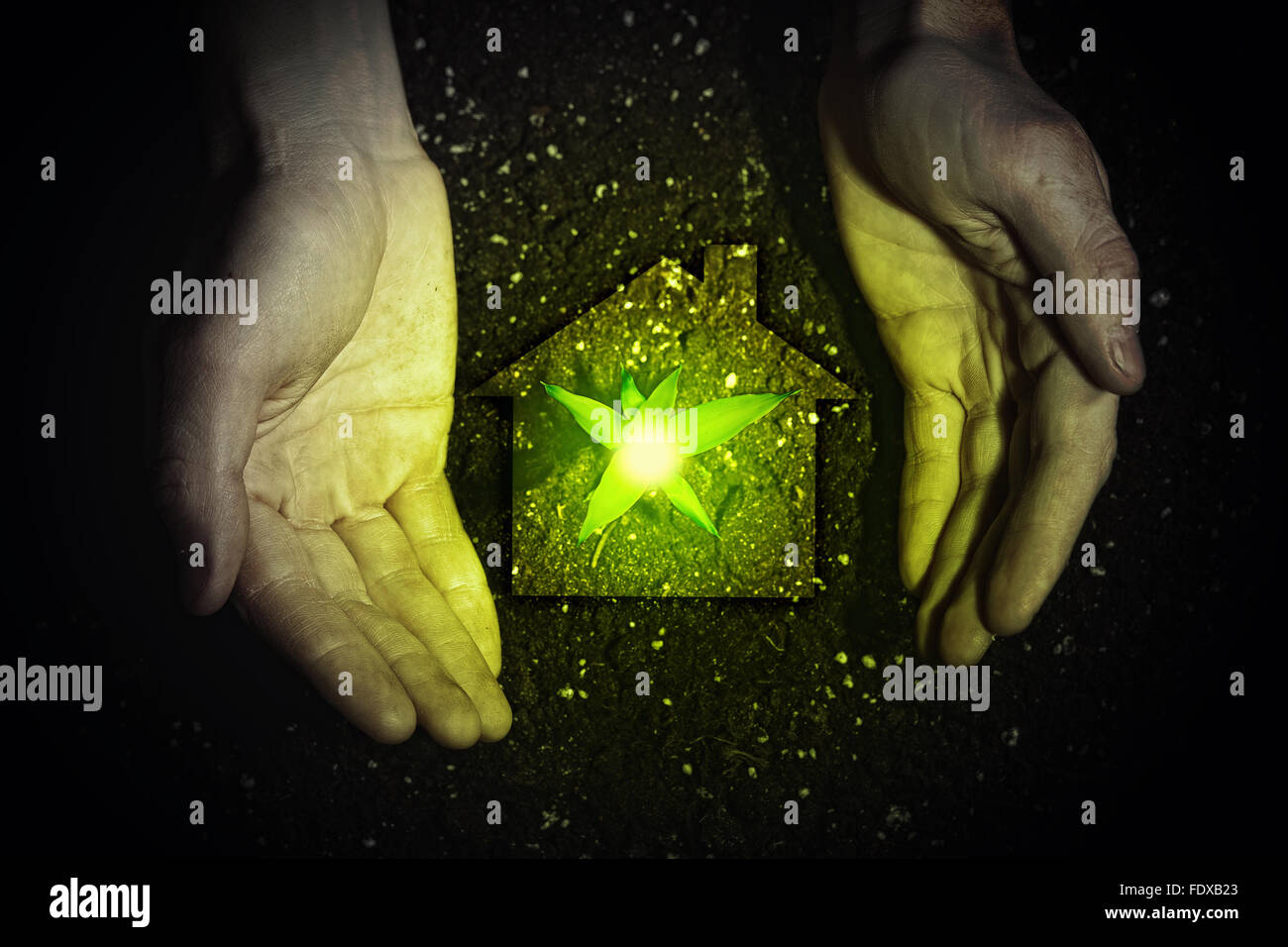 Human hands holding a green sprout and ecology symbols Stock Photo - Alamy