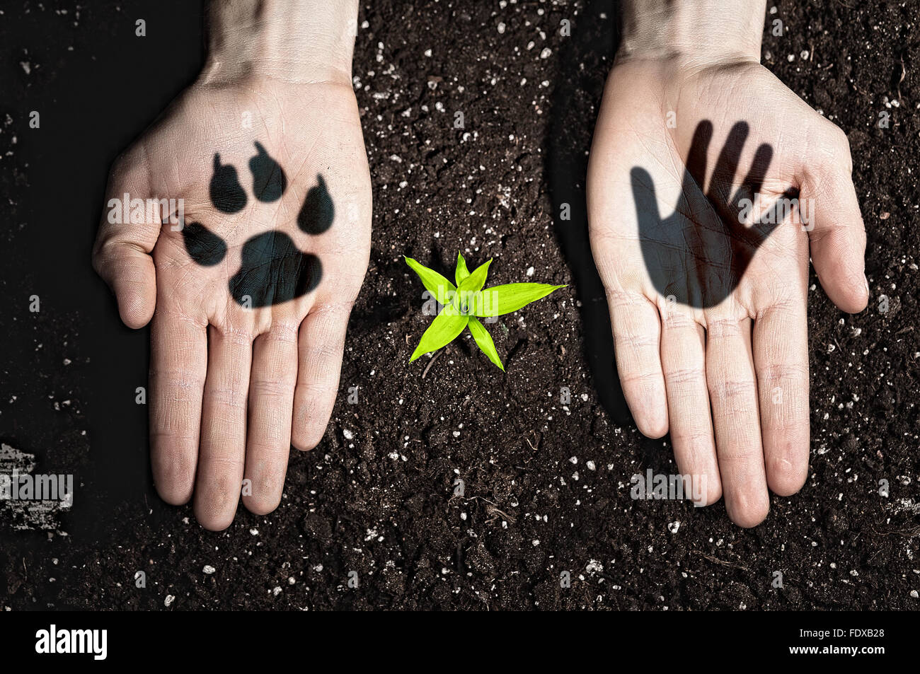 Human hands holding a green sprout and ecology symbols Stock Photo - Alamy