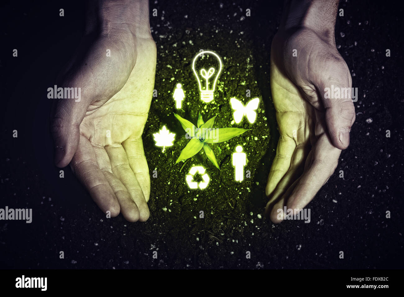 Human hands holding a green sprout and ecology symbols Stock Photo - Alamy