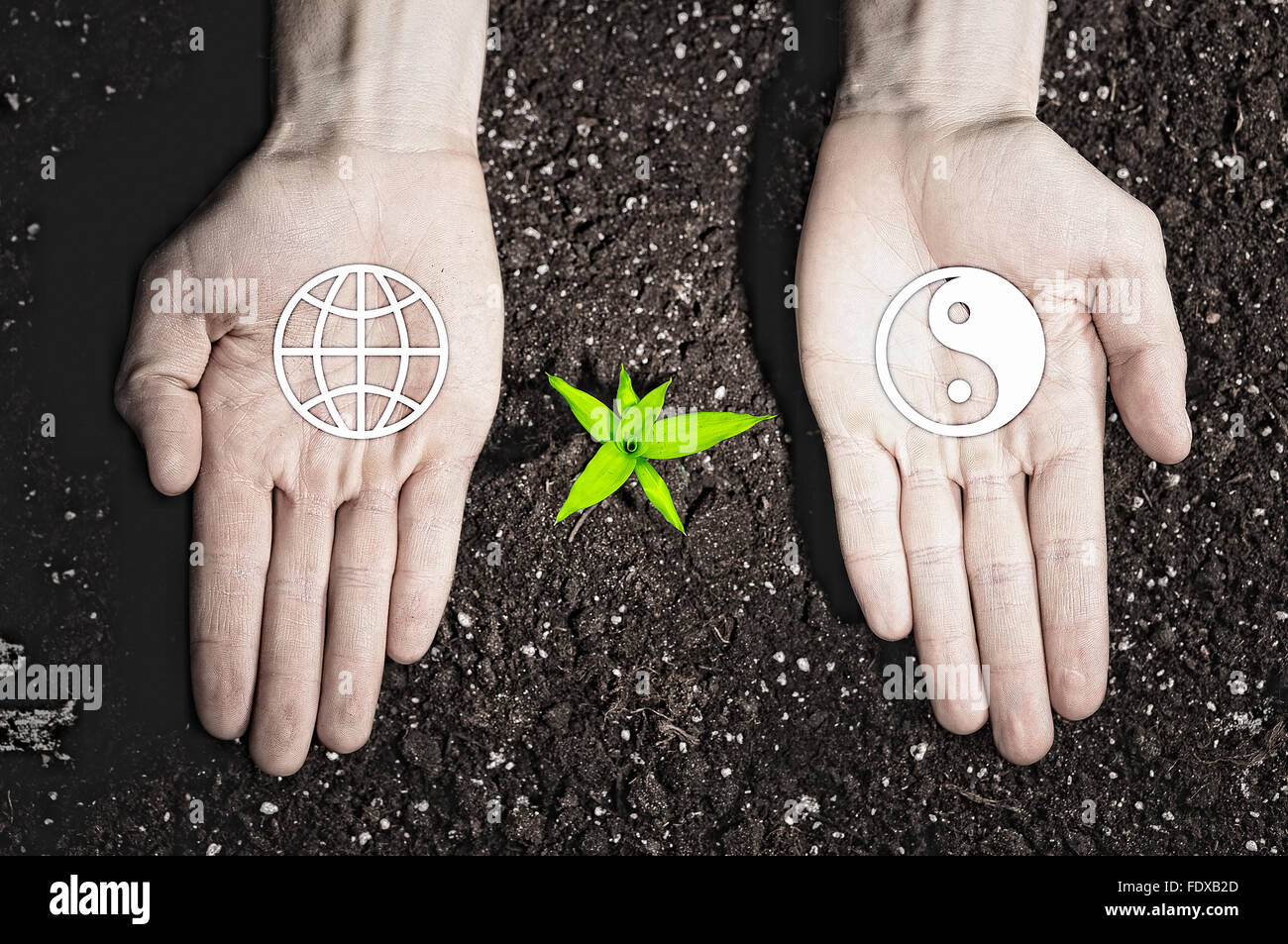 Human hands holding a green sprout and ecology symbols Stock Photo - Alamy