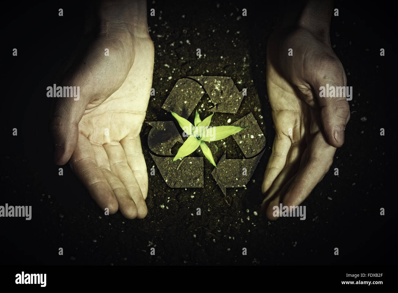 Human hands holding a green sprout and ecology symbols Stock Photo - Alamy