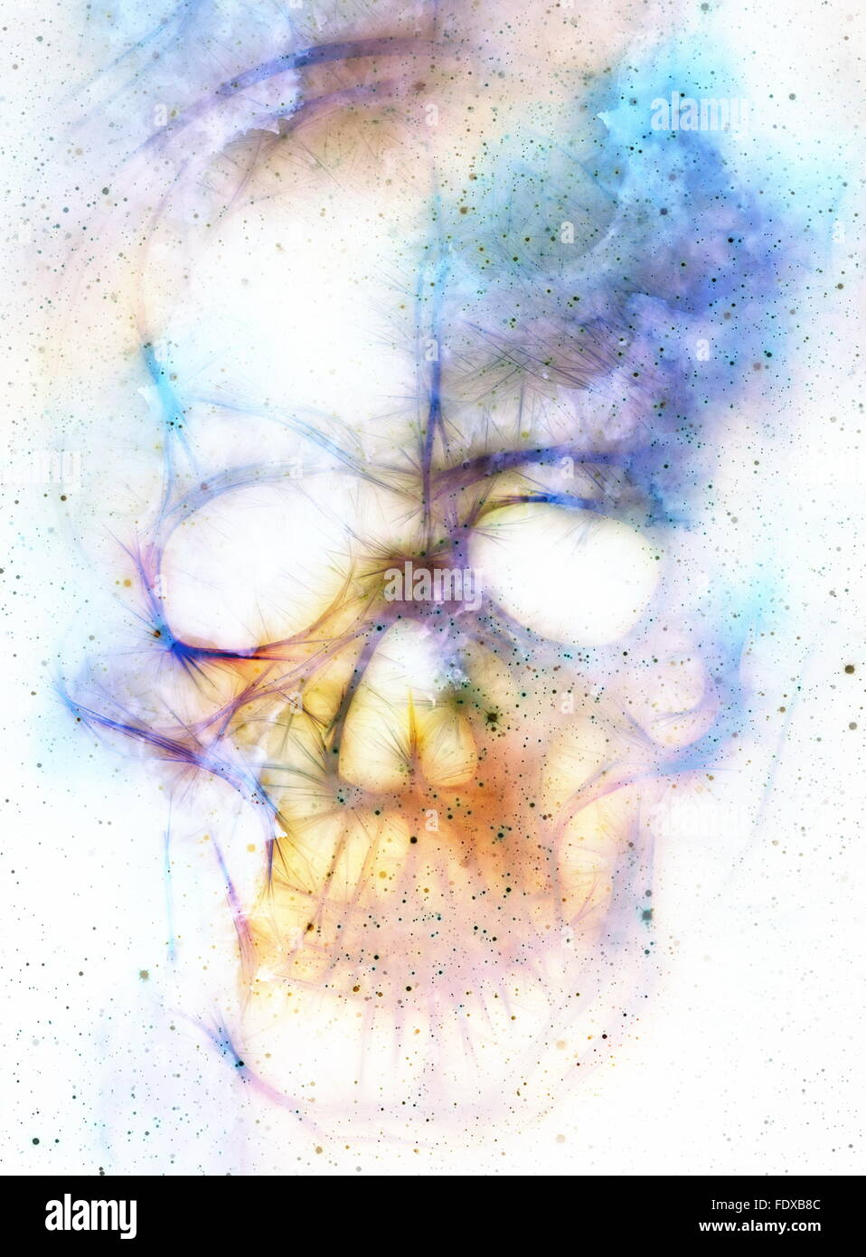 Skull and fractal effect. Color background, computer collage Stock ...