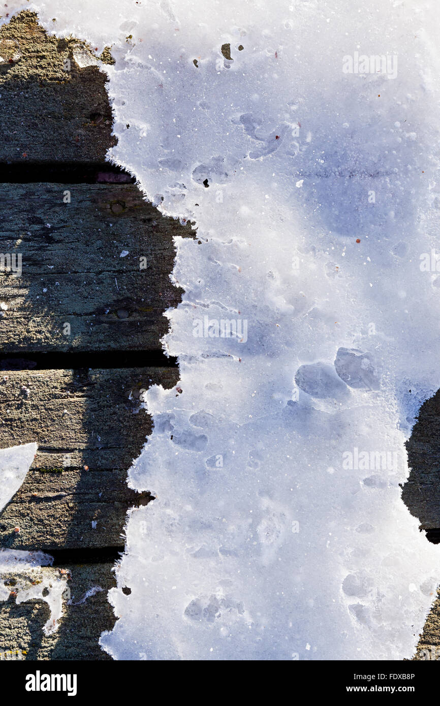 Frozen planks of old pier at winter morning Stock Photo - Alamy