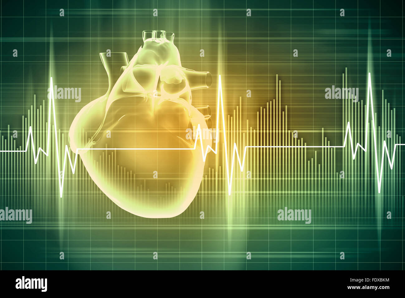 Virtual image of human heart with cardiogram Stock Photo - Alamy