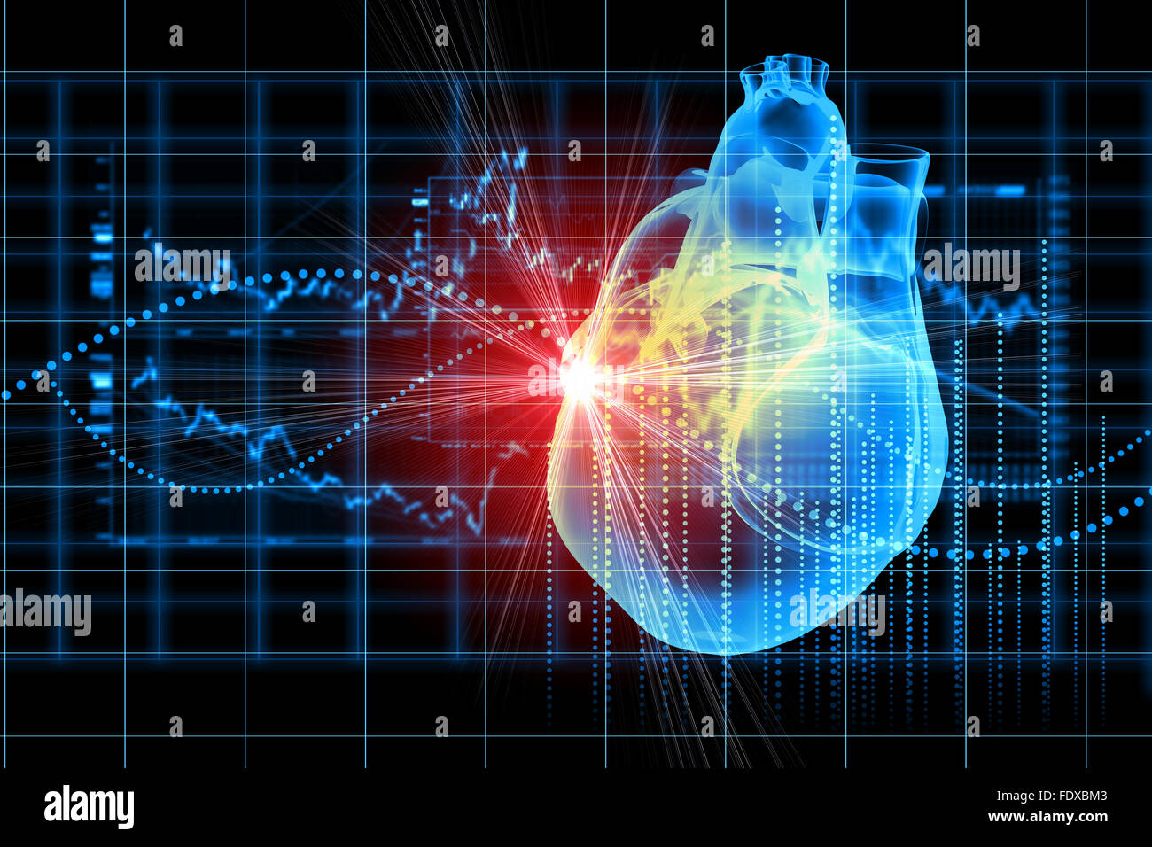 Virtual image of human heart with cardiogram Stock Photo - Alamy