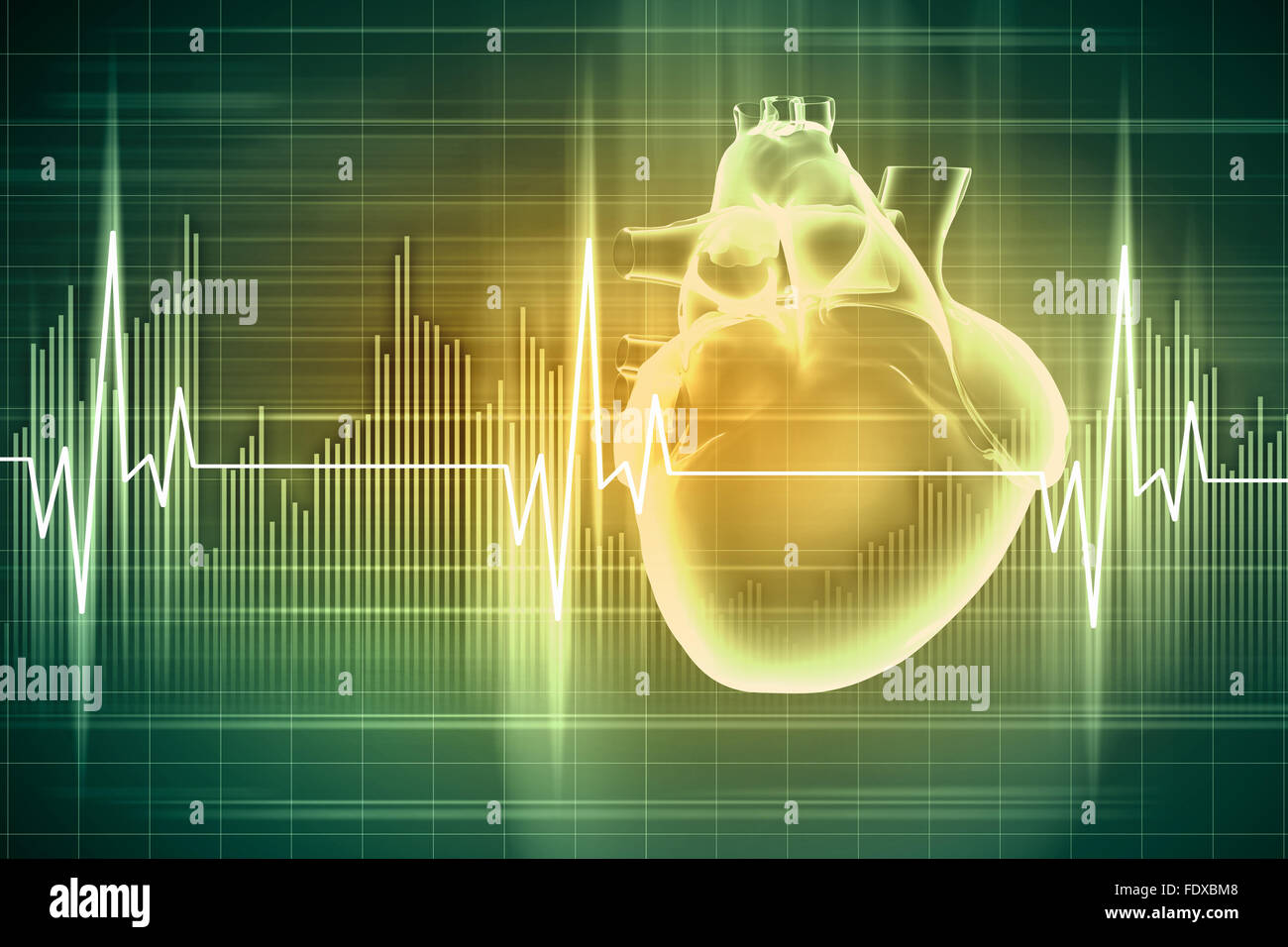 Virtual image of human heart with cardiogram Stock Photo - Alamy