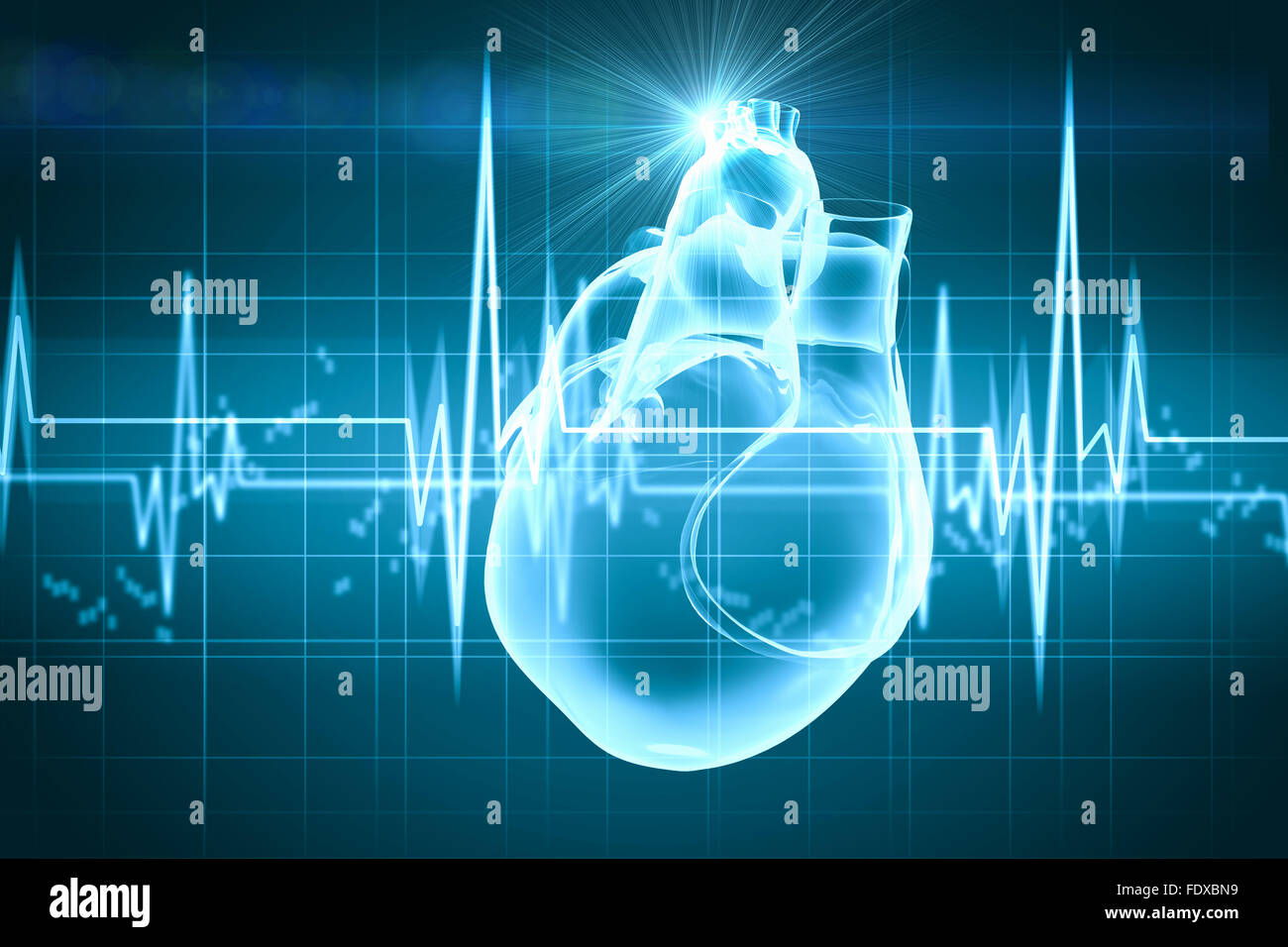 Virtual image of human heart with cardiogram Stock Photo - Alamy