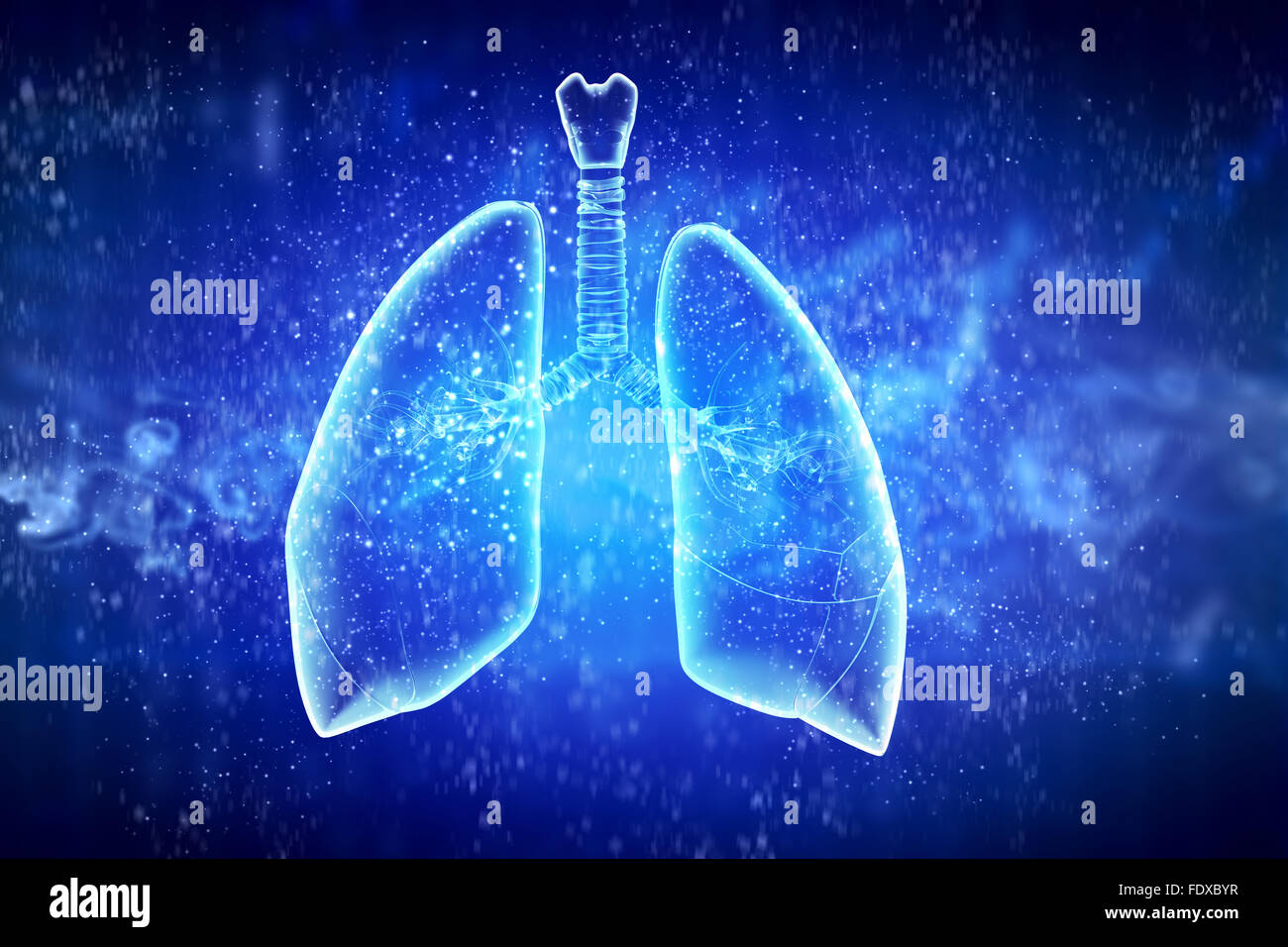 Schematic illustration of human lungs with the different elements on a ...
