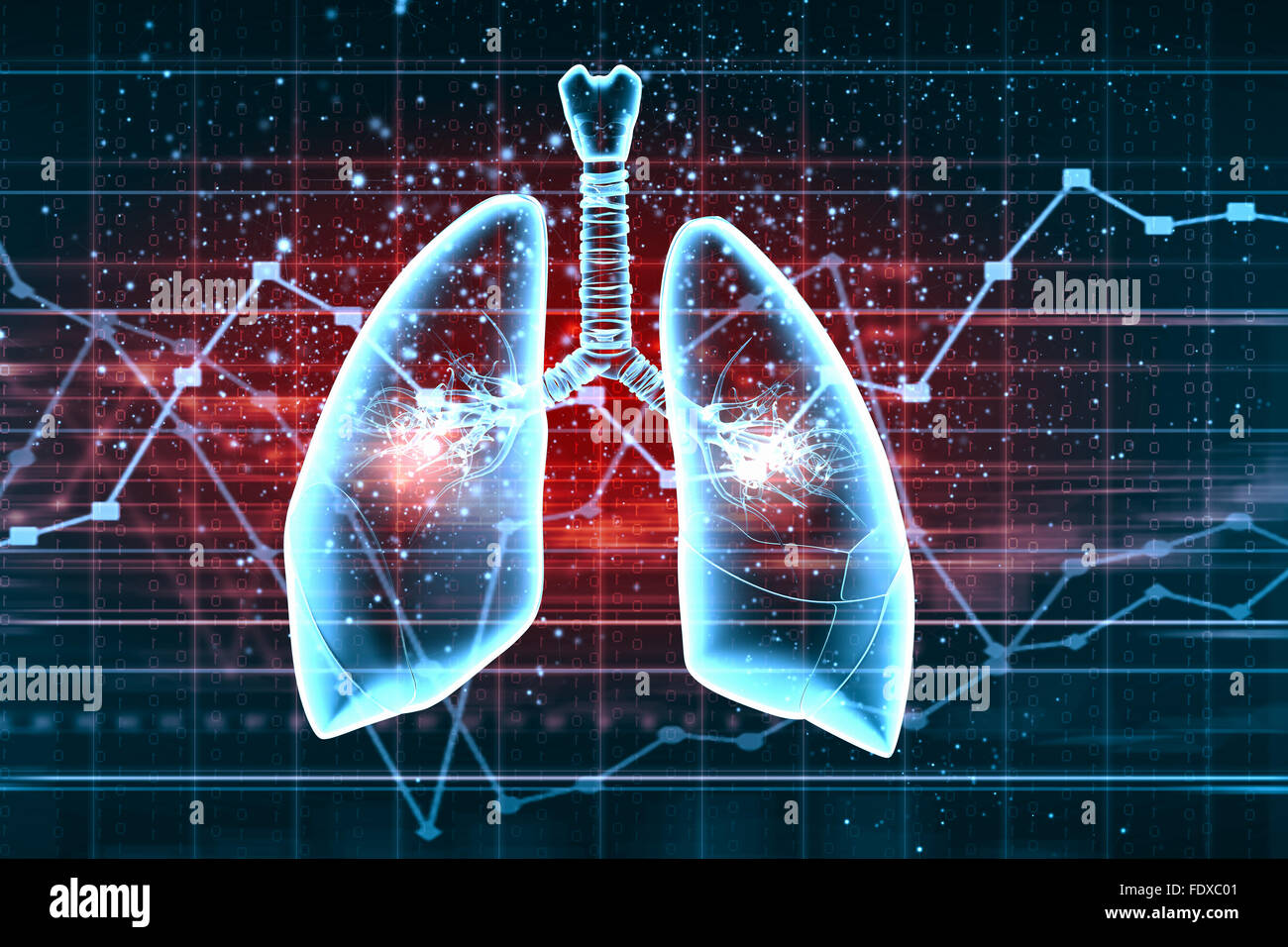 Schematic illustration of human lungs with the different elements on a ...