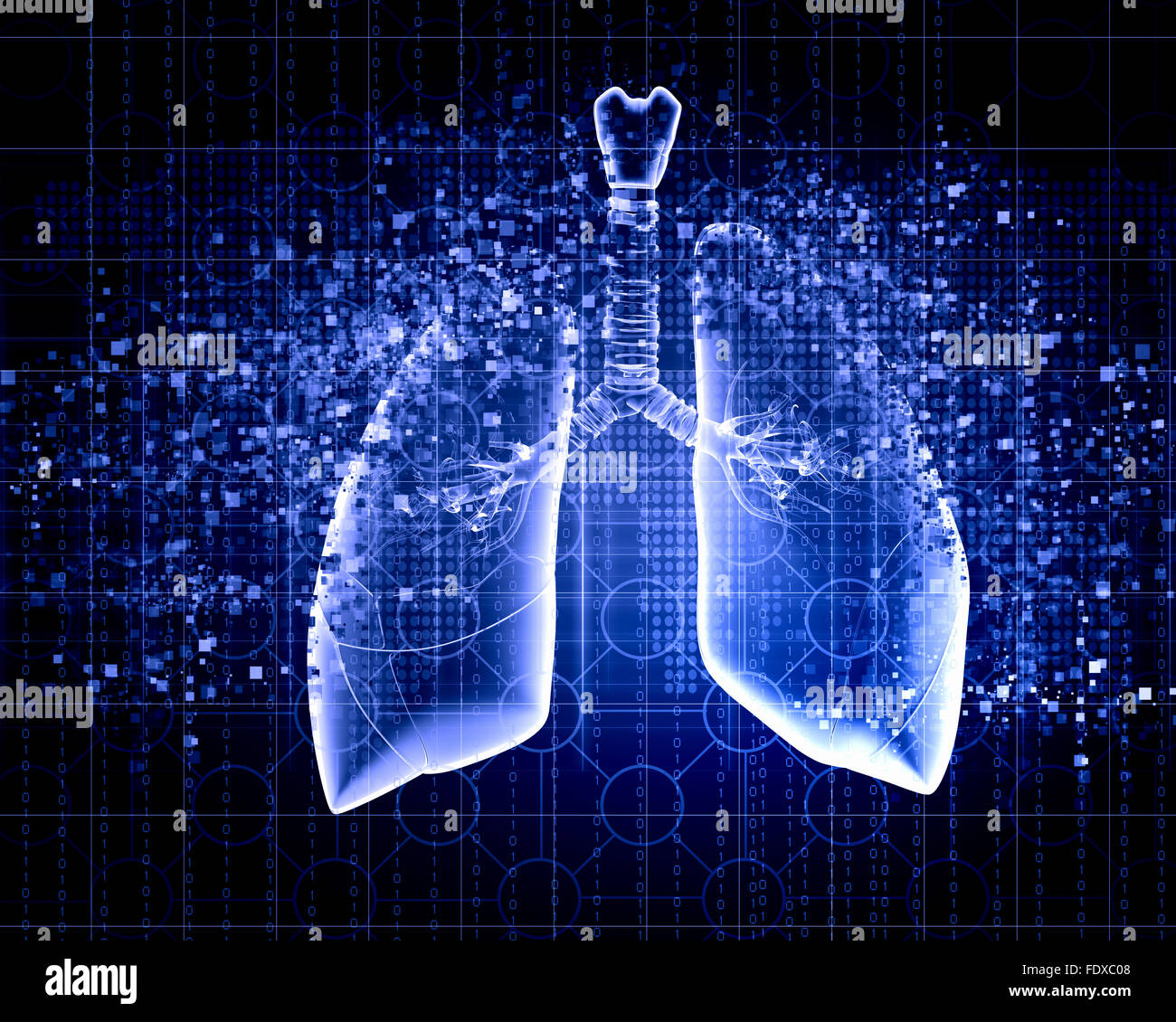 Schematic illustration of human lungs with the different elements on a ...